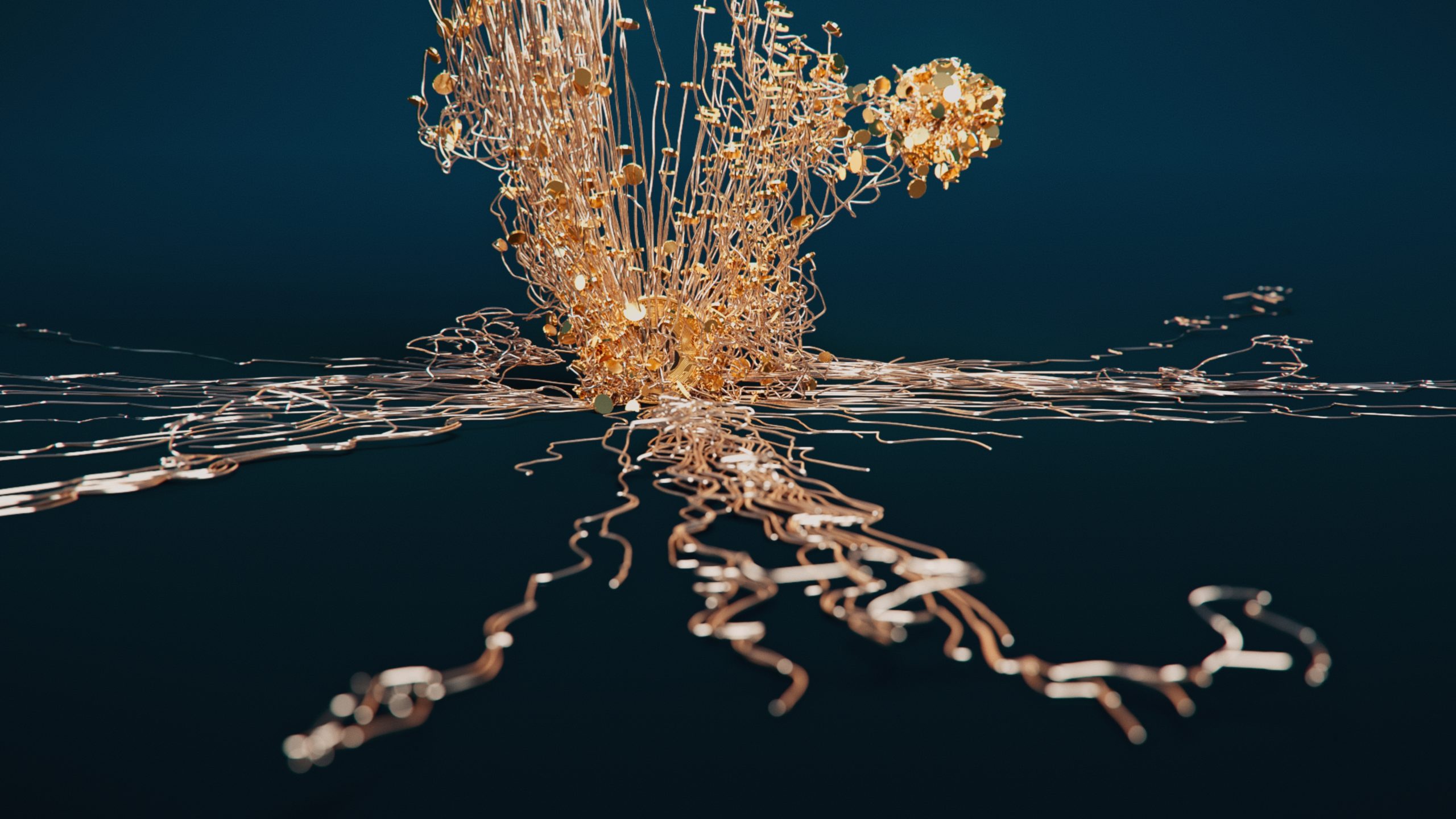 Bitcoin Life Cycle - Mind Pictures